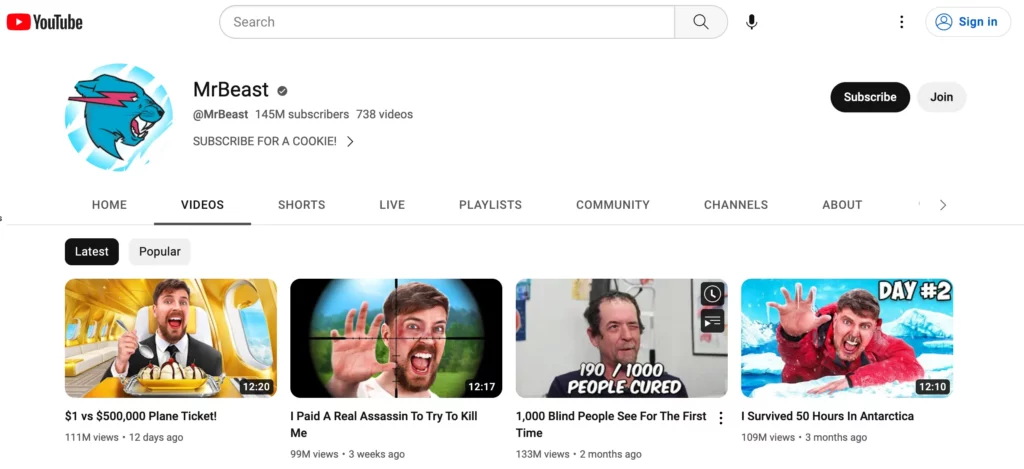 What is a Vlogger? A Look into the World of Video Blogging