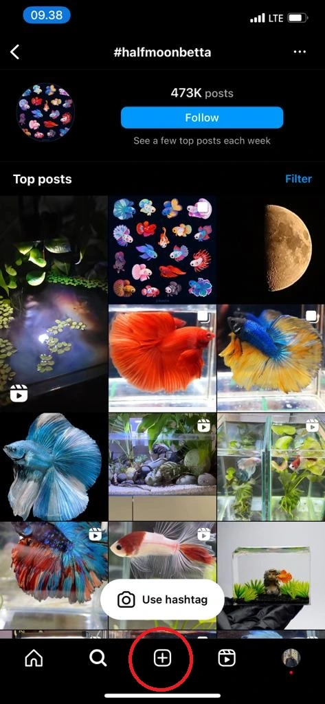 Top 300+ Trending Hashtags for Instagram Reels in 2024