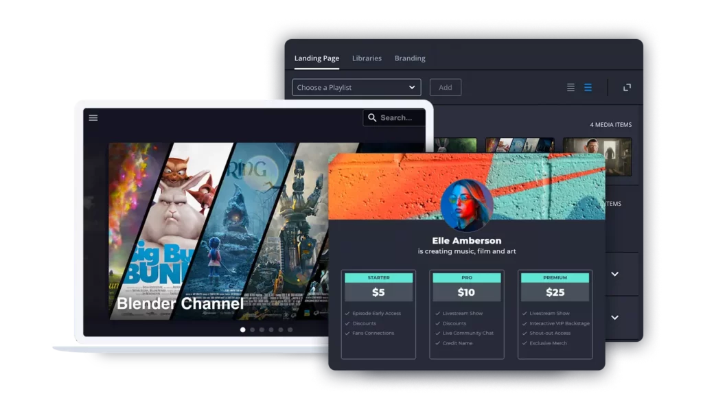 The 8 Best Private Live Stream Platforms in 2023 - Gank