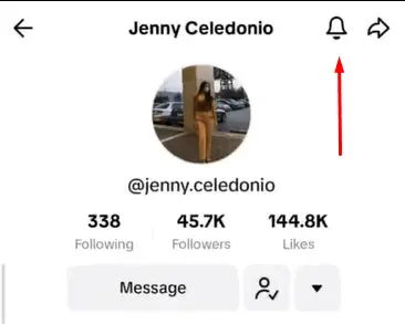 What Does Nudge Mean on TikTok? New Feature Explained