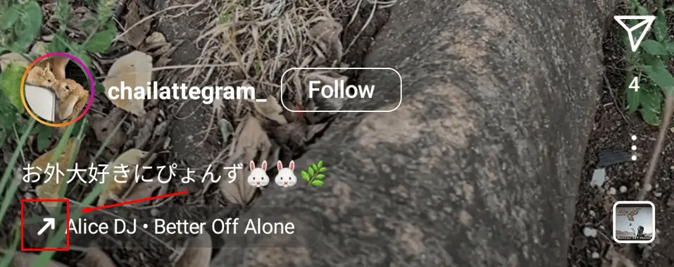 What Is A Reel on Instagram? Introduction to Instagram Reels