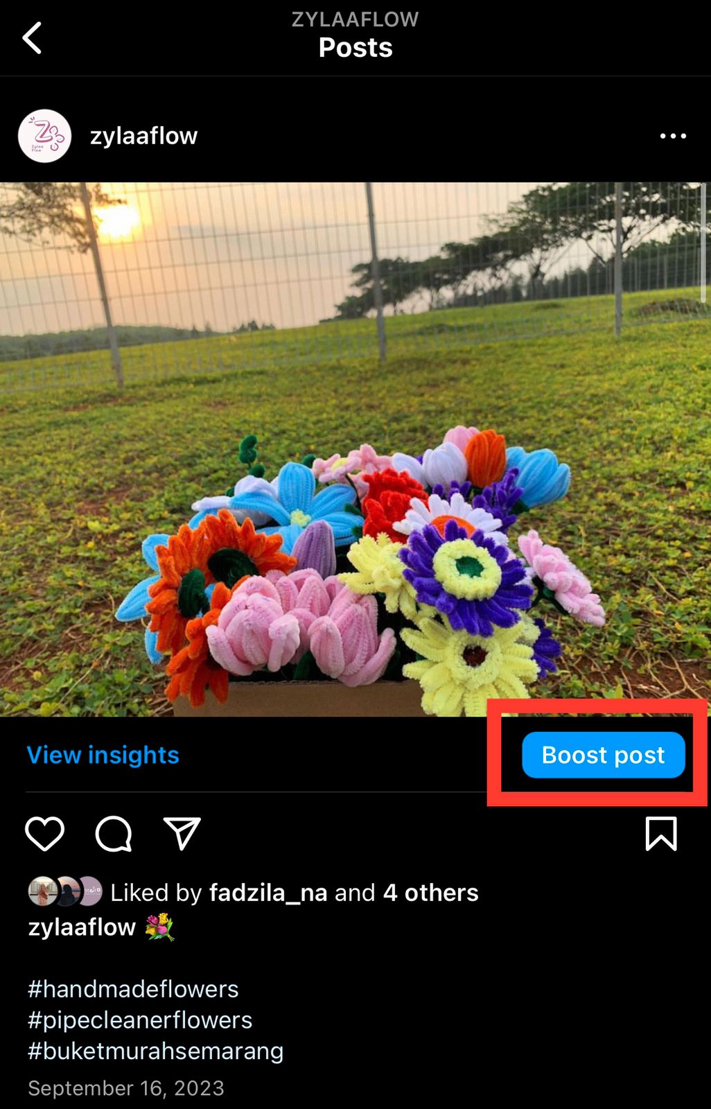 Panduan Lengkap IG Ads dan 3 Cara Membuat IG Ads Sesuai Kebutuhanmu - Gank