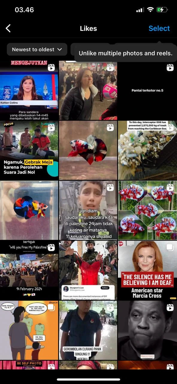 2 Cara Melihat Postingan yang Disukai di IG dengan Cepat! - Gank